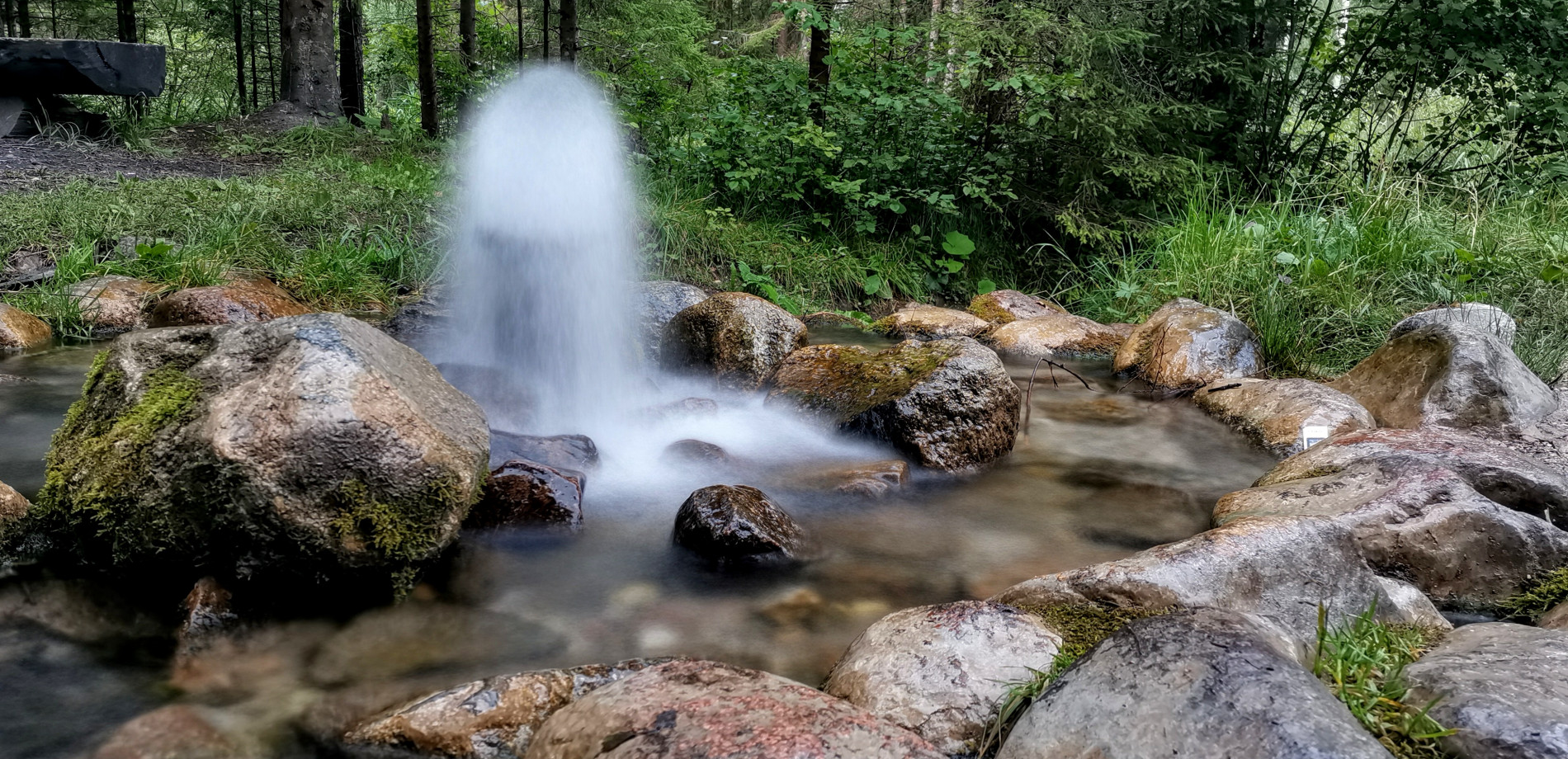 Päästame Eesti allikad | Erialasid Lõimiv Uuendus
